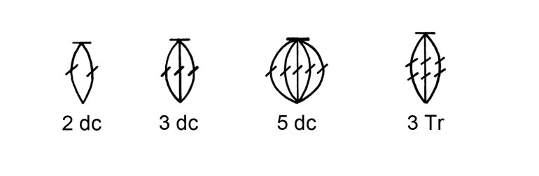 Master Crocheting Clusters – Mamas2Hands